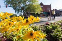 Welcome to Foley - City of Foley