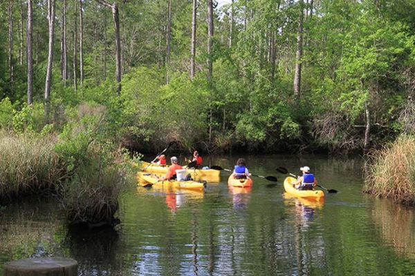 Welcome to Foley - City of Foley