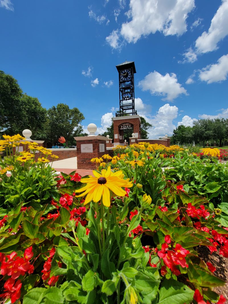 City of Foley - City of Foley