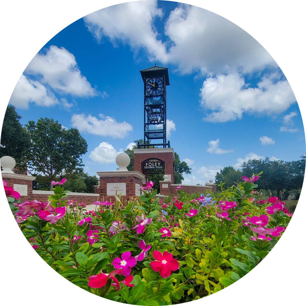 City of Foley - City of Foley