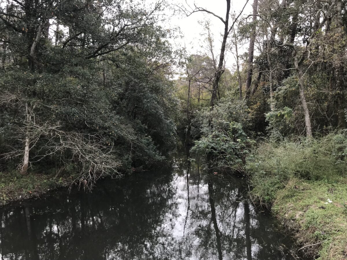 Volunteers monitoring water quality for 25 years - City of Foley