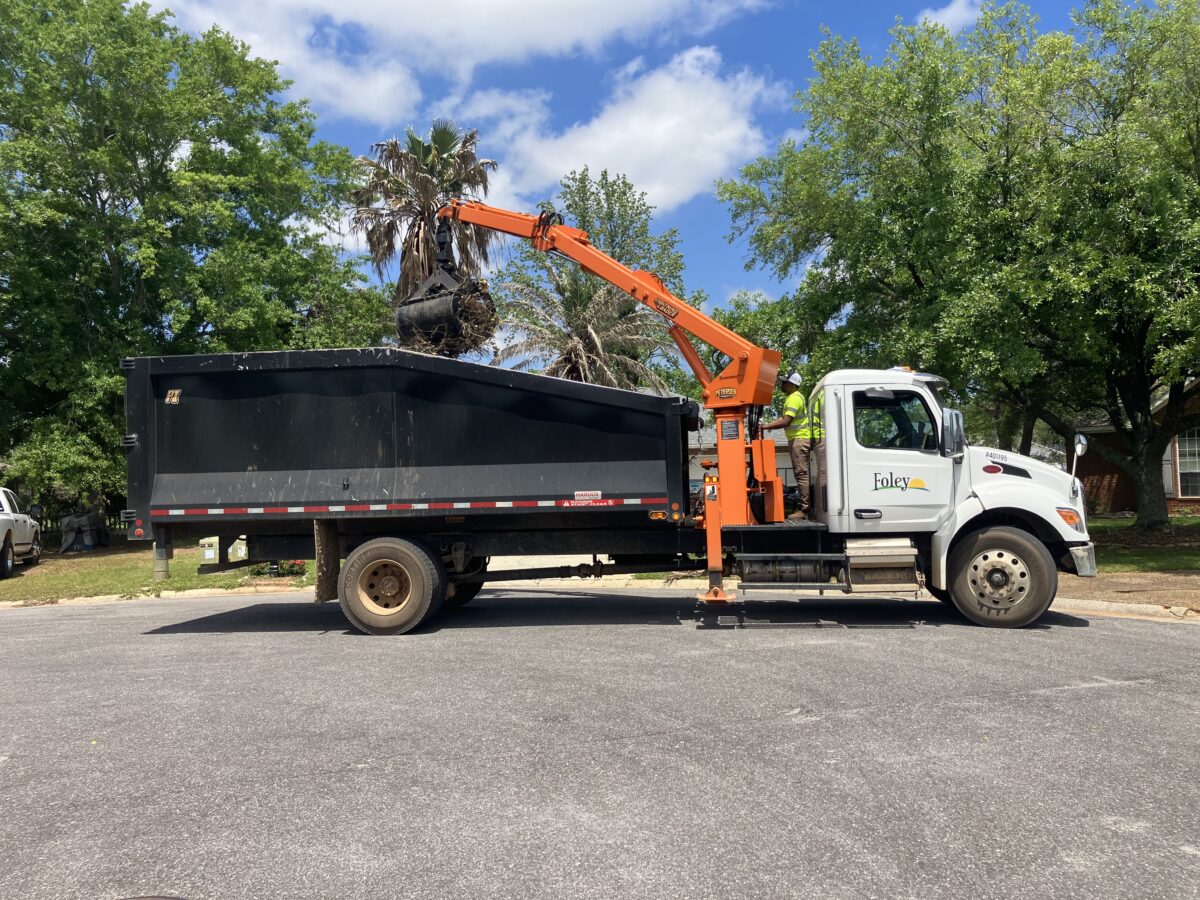 Foley limb collection demand on the rise - City of Foley