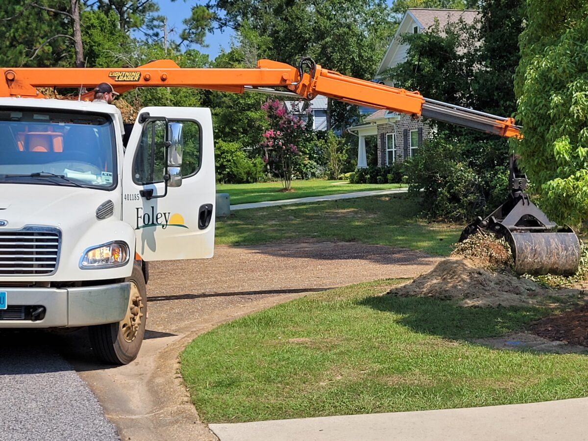 Foley limb collection demand on the rise - City of Foley