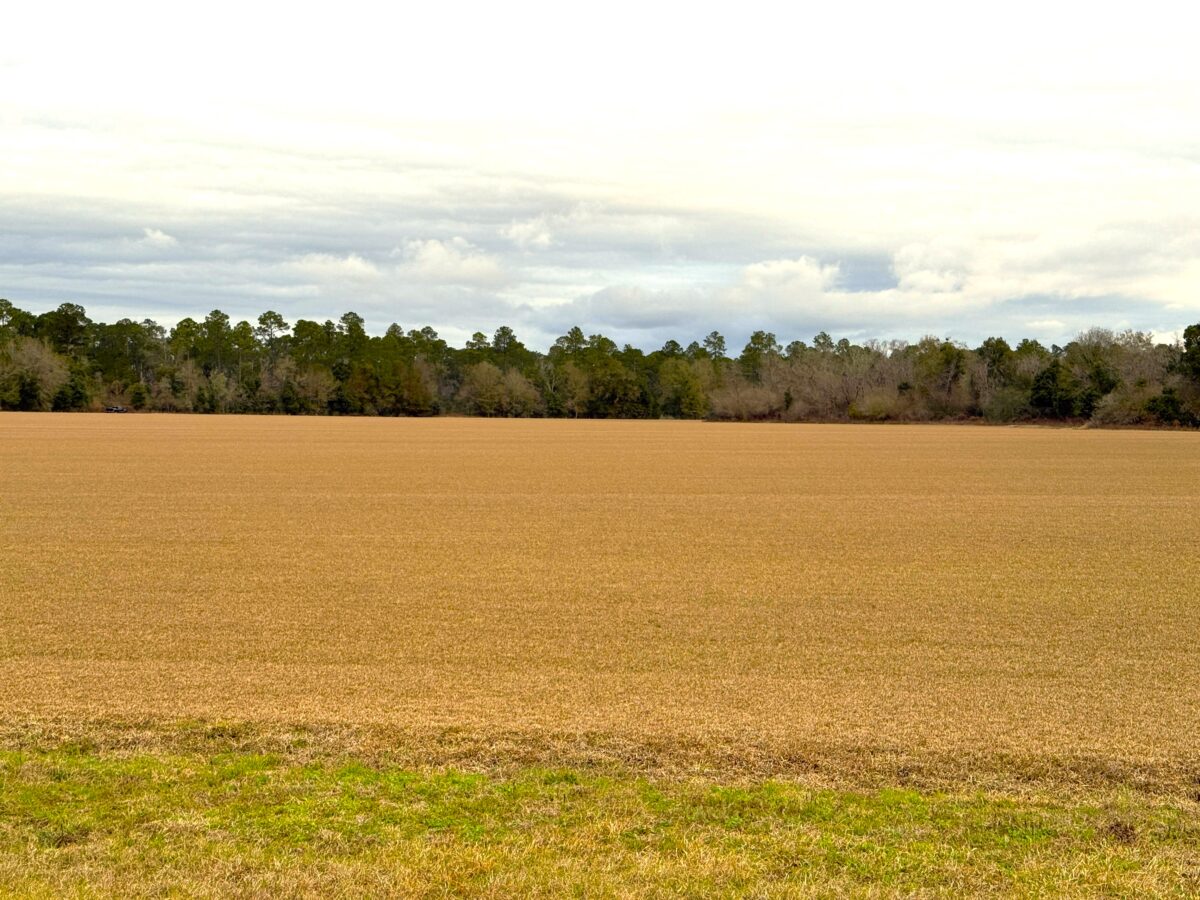 Foley Plans New Fire Station to Expand Protection in Northeast - City ...
