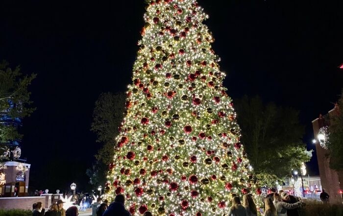 News - City of Foley