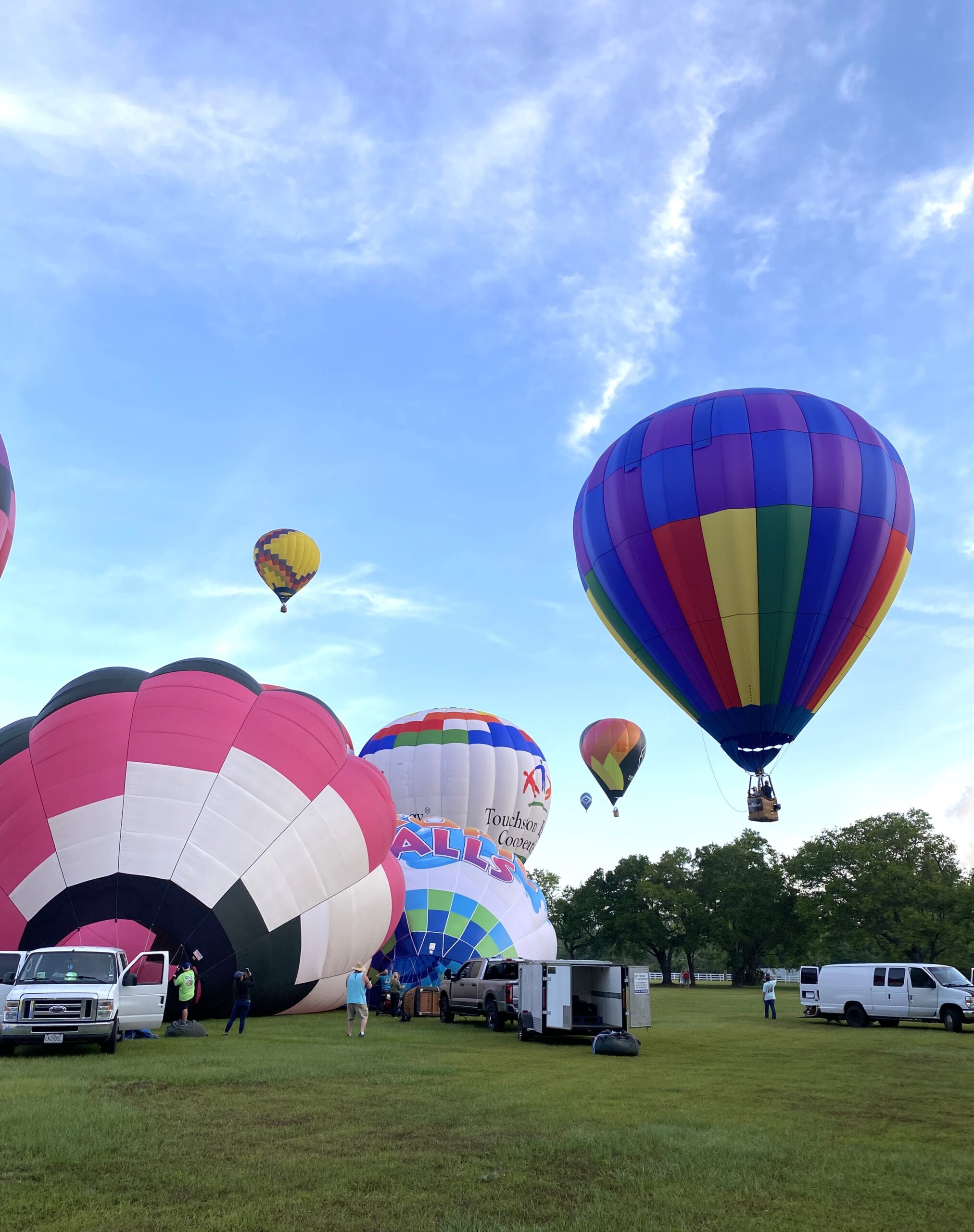 City Council increases support for Gulf Coast Hot Air Balloon Festival ...